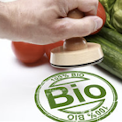 Was nach dem Teilungsplan der Uno von 1947 bis 2001 geschah – infosperber