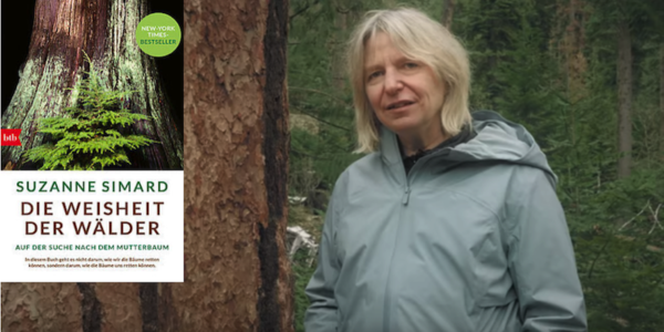 Vision des Wood Wide Web – infosperber